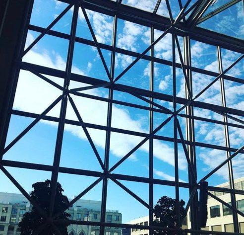 Occasio - Training and Business Services, both offline and online