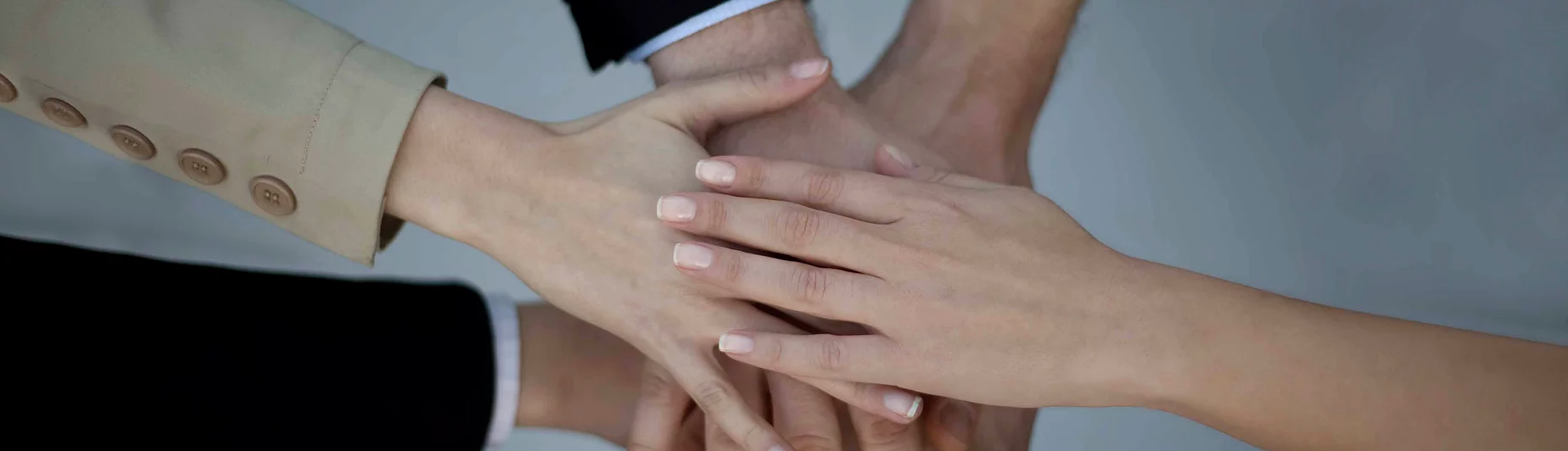 Occasio - Training and Business Services, both offline and online